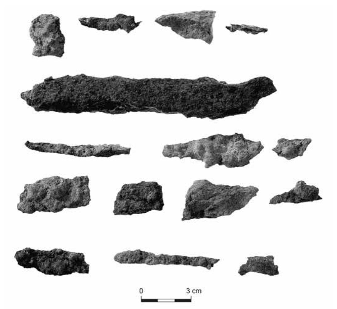 Fragments of artillery shells (shrapnel) from locus 458