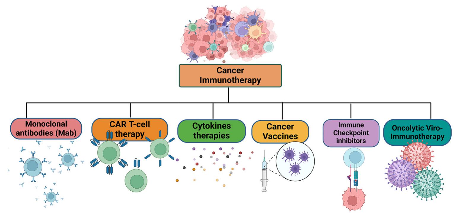 Schematic representation of different types of cancer
