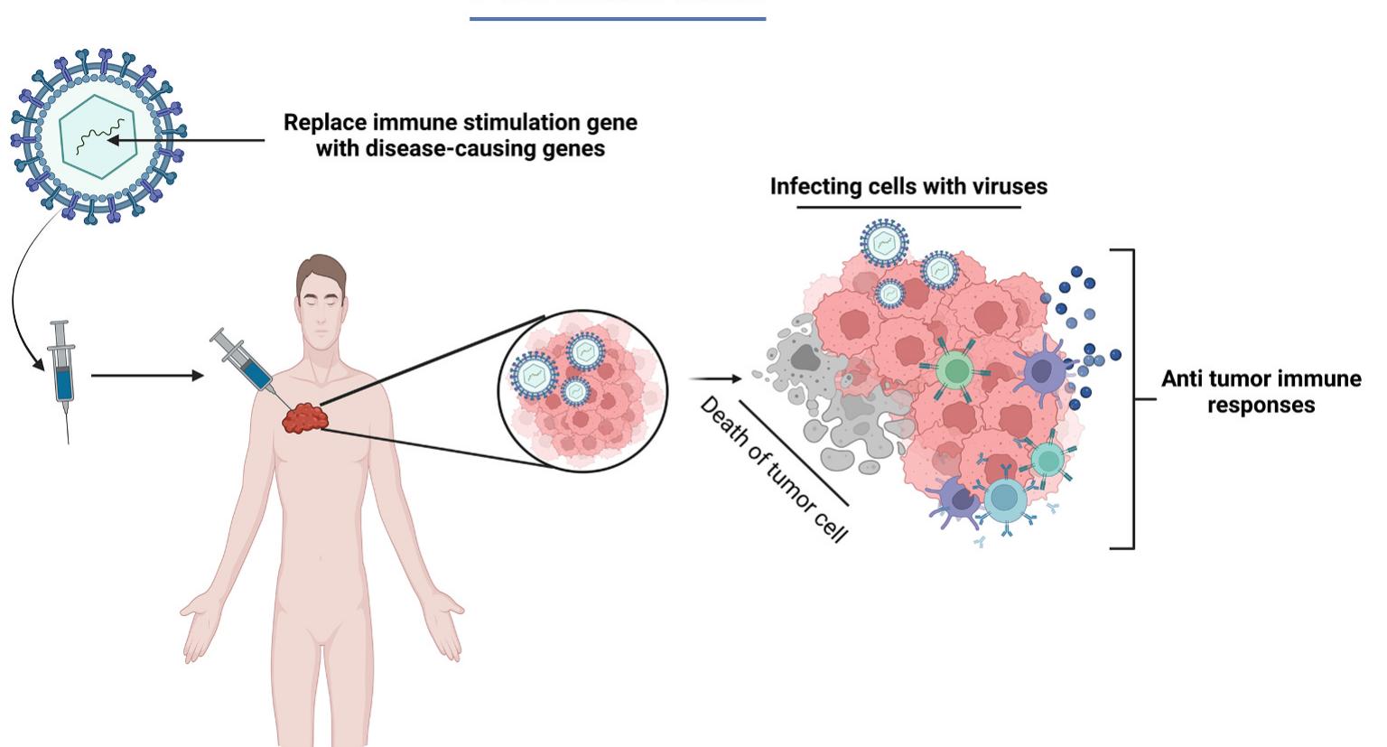 Schematic representation of oncolytic viro-immunotherapy