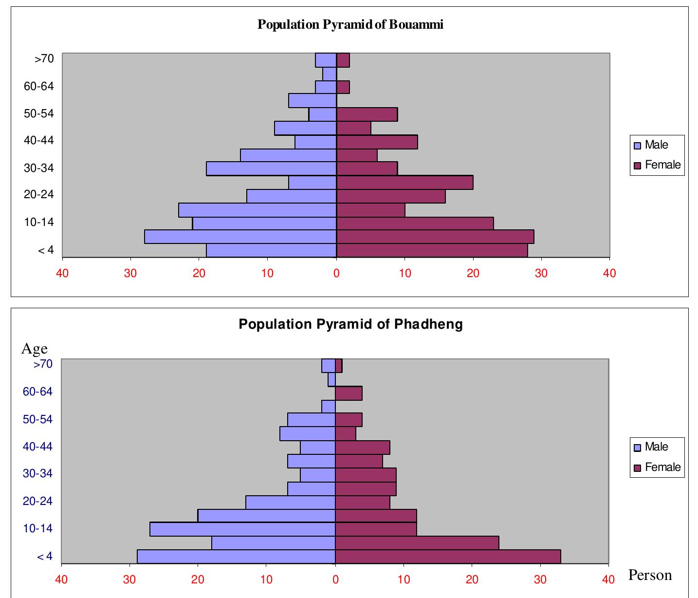 To visualize the population structure, a population pyramid