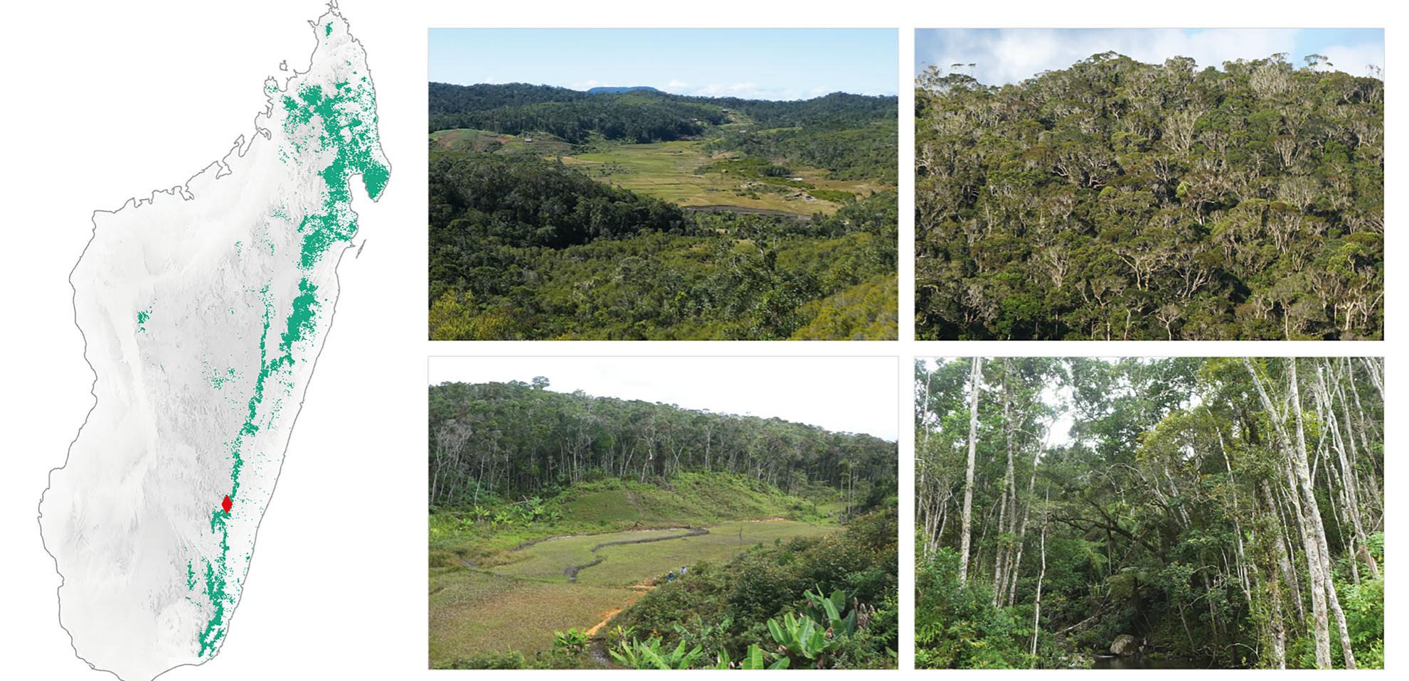 Madagascar terrain-shaded map with humid forest (green)