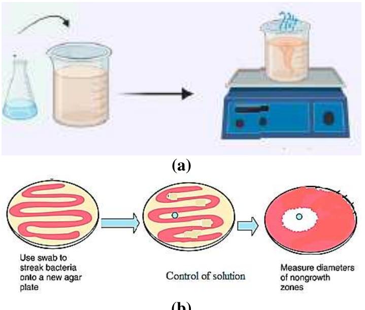 (2) (a) the creation of copper oxide nps graphically, and