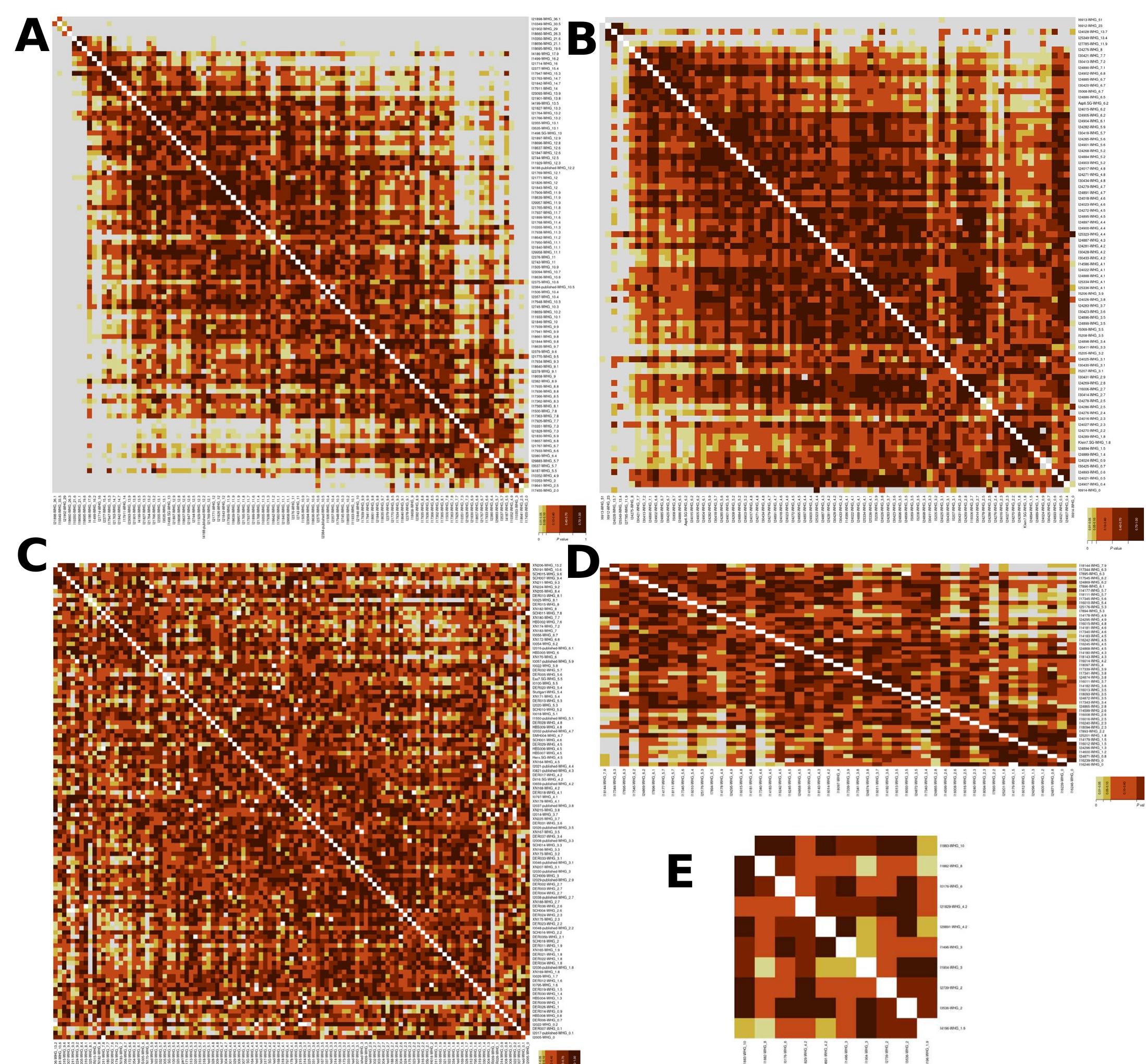 Extended data fig. 2 | qpwave plots. qpwave plots to test