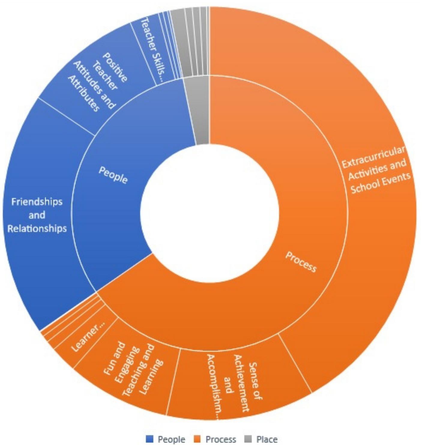 Visual representation of the frequency of categories and