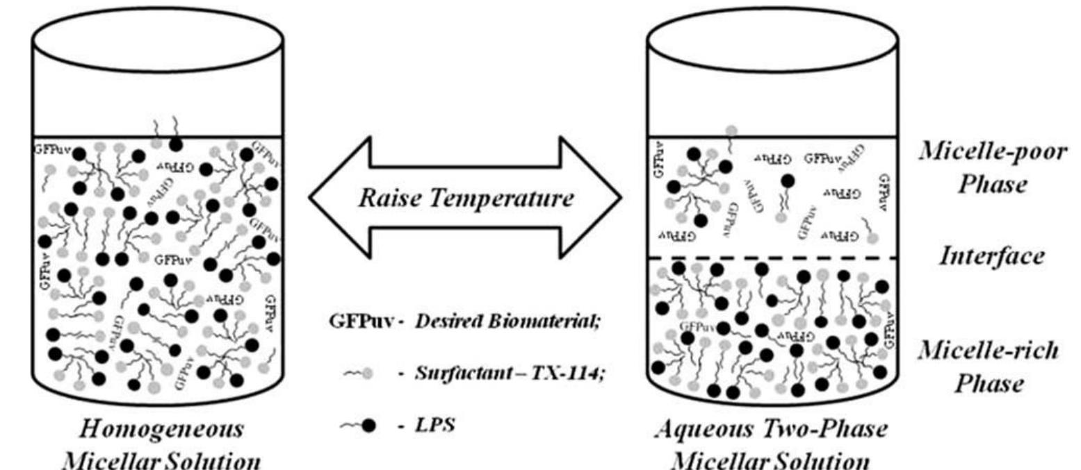 Sure 2. schematic representation of the mixed micellar