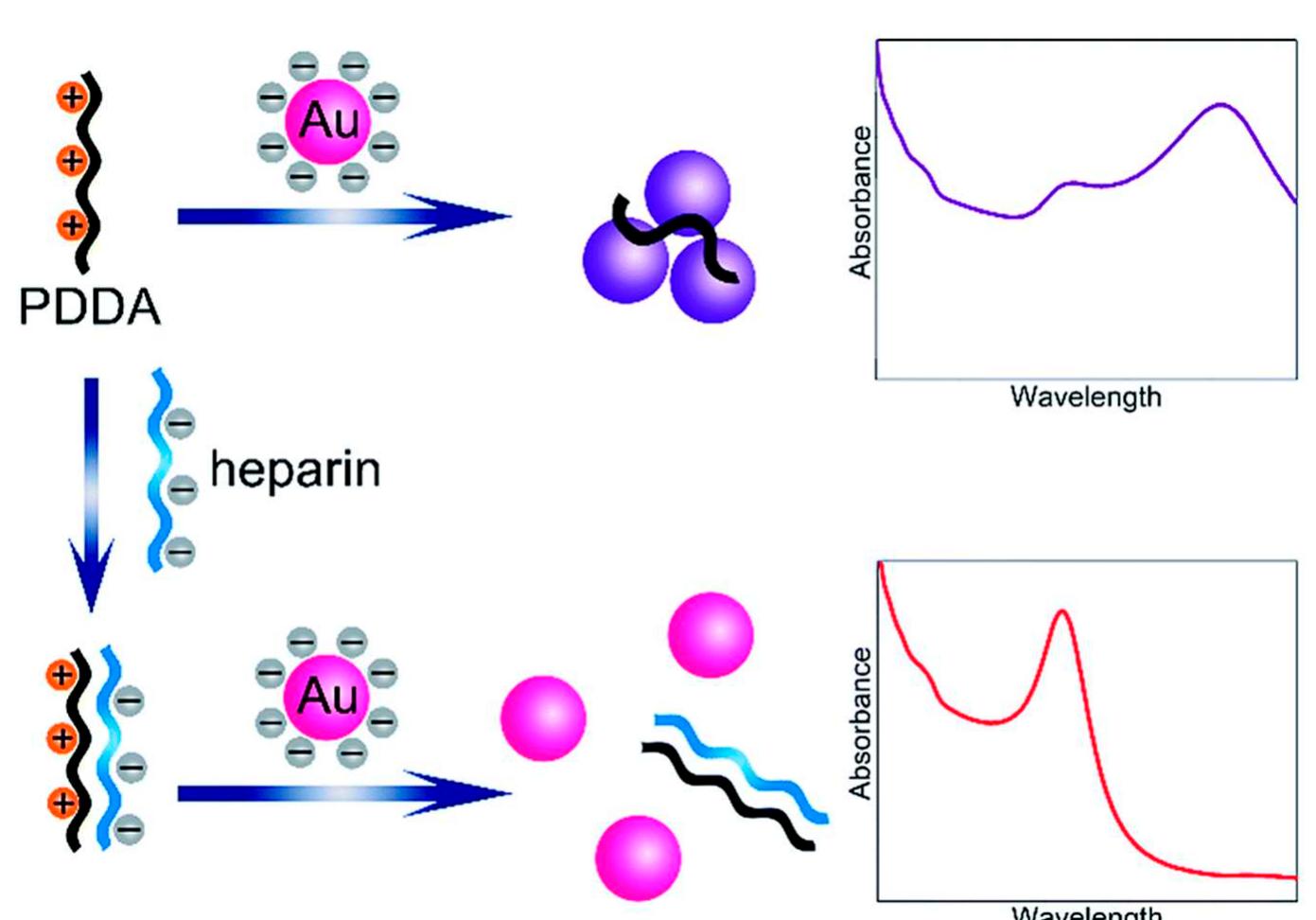 The schematic illustration of heparin detection using a
