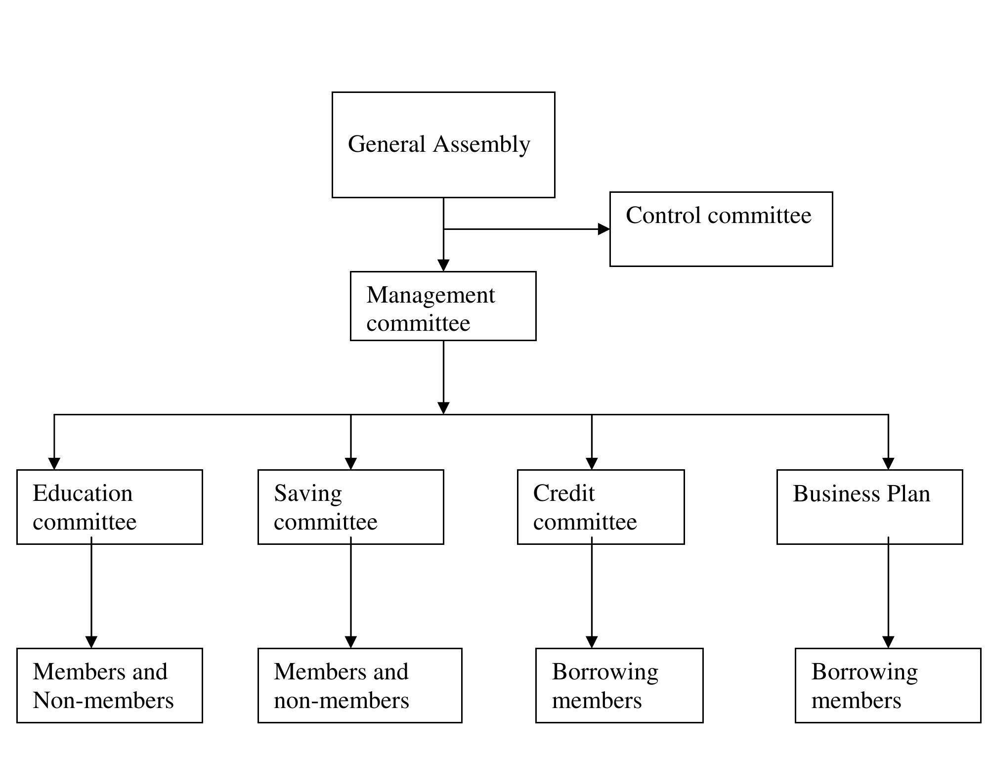 The organizational structure of the primary cooperative and