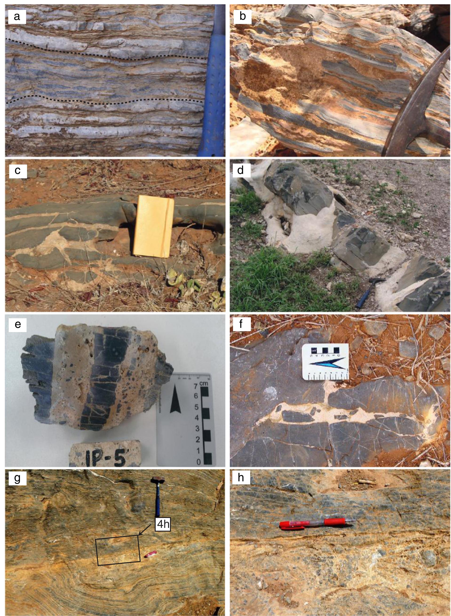 Outcrop-scale of calcretes within fracture systems and