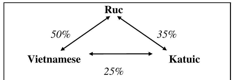 Ruc between vietnamese and katuic ruc has 35% shared