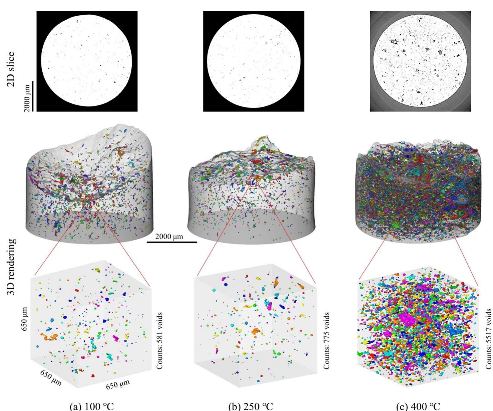 3d volume renderings of sr-1\ct scans of ruptured specimens