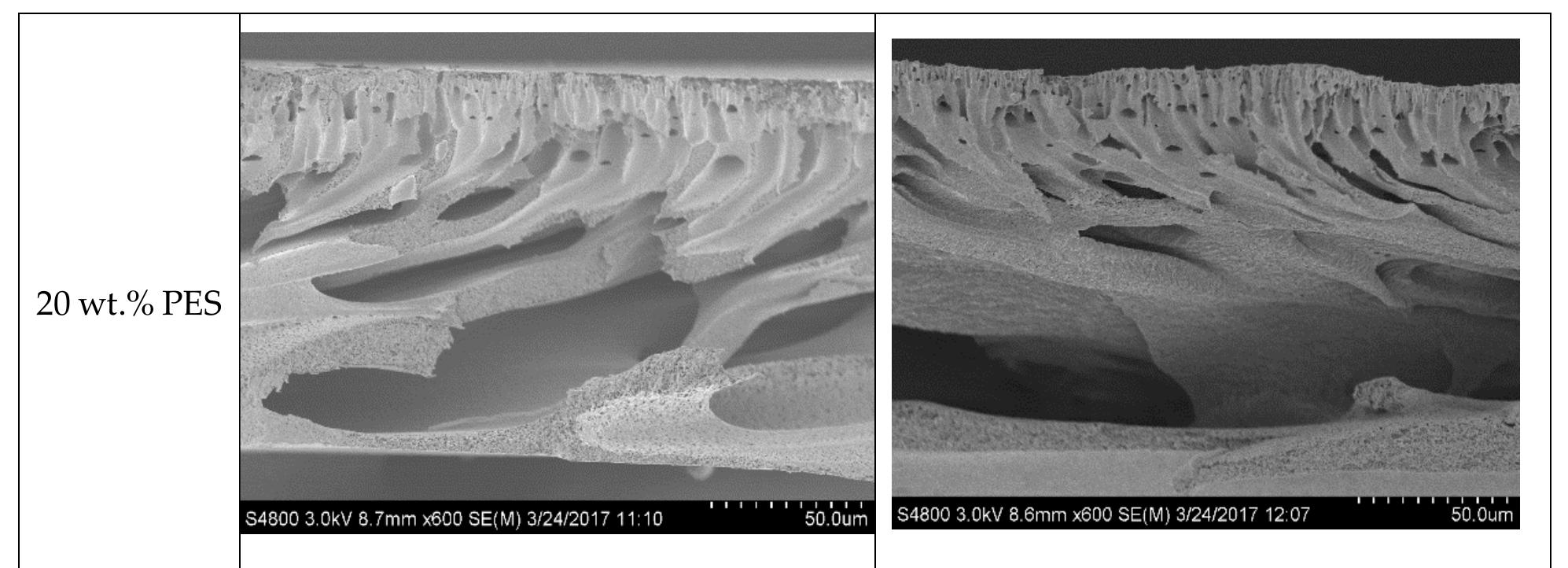 1 sem cross-section images of the pes membranes moreover,