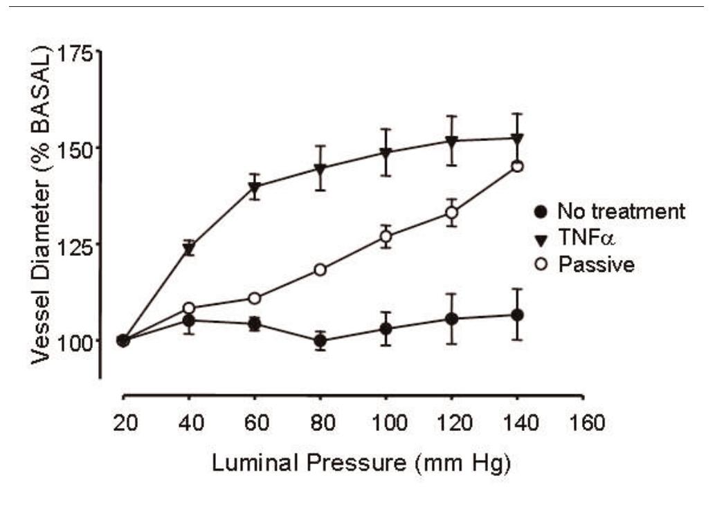 Figure 10 - Effects of prone position ventilation and