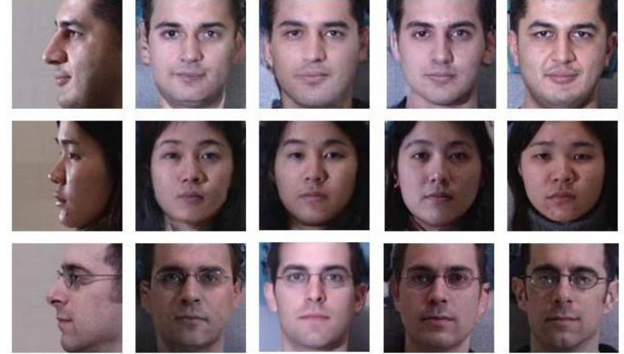 Face augmentation from 90 degree profile [21]