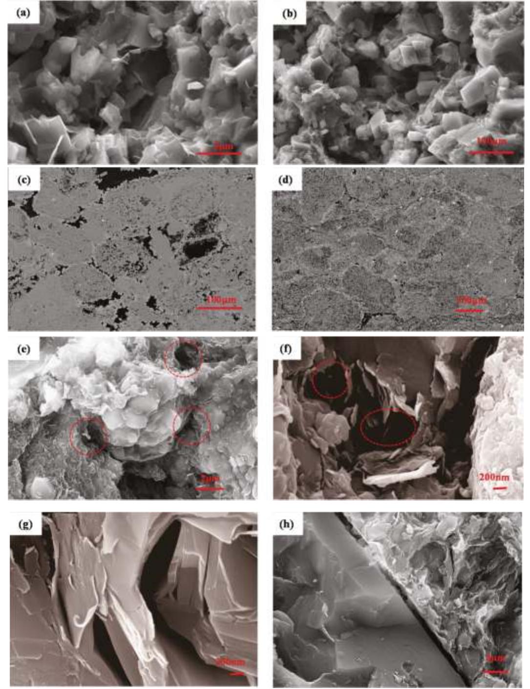 The pore types according to sem analysis. (a) intergranular
