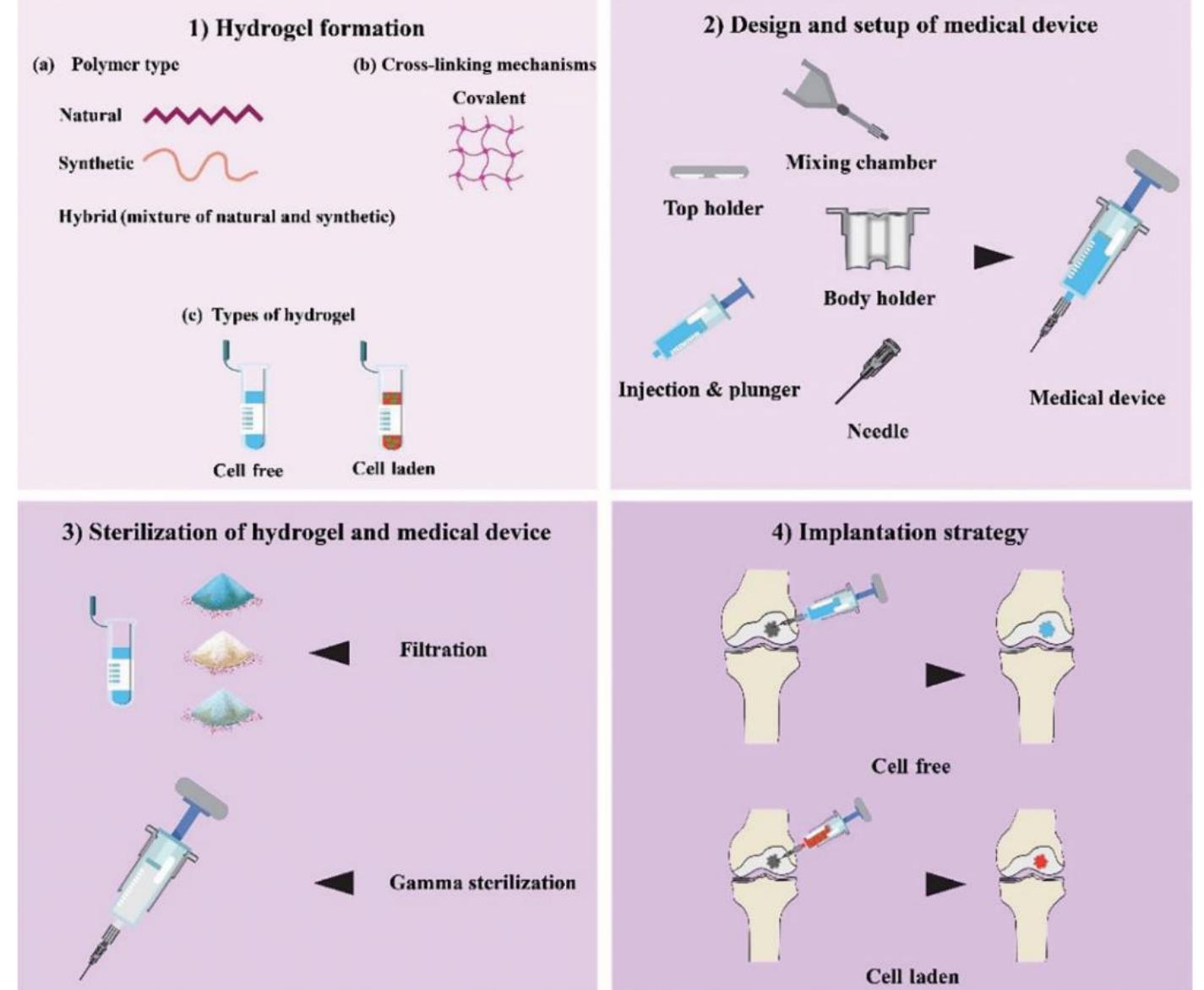 « schematic diagram of hydrogels as implantable materials