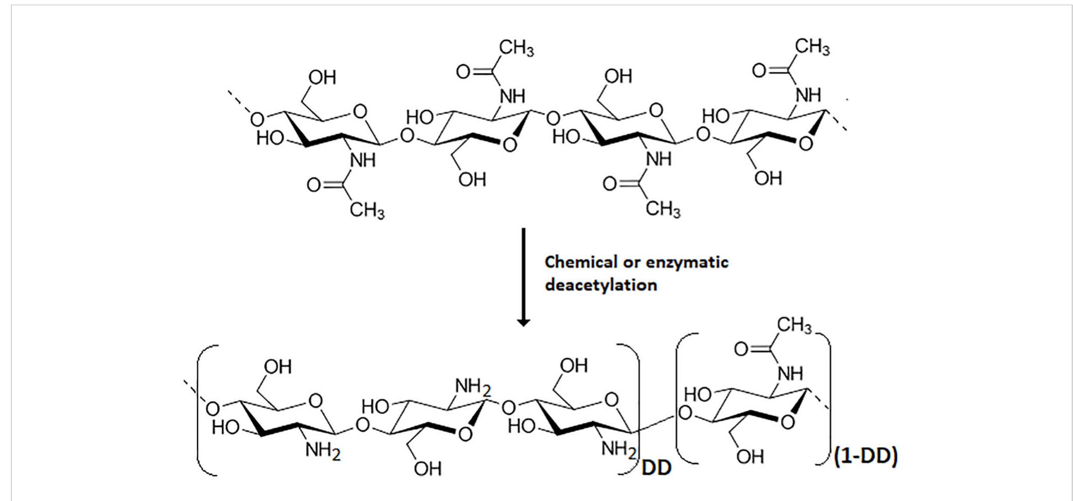 Chemical structure of chitin and its usual deacetylation