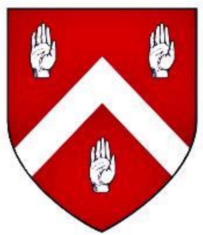 Figure 15 - from The Heraldry of the Byrnes and the O'Byrnes