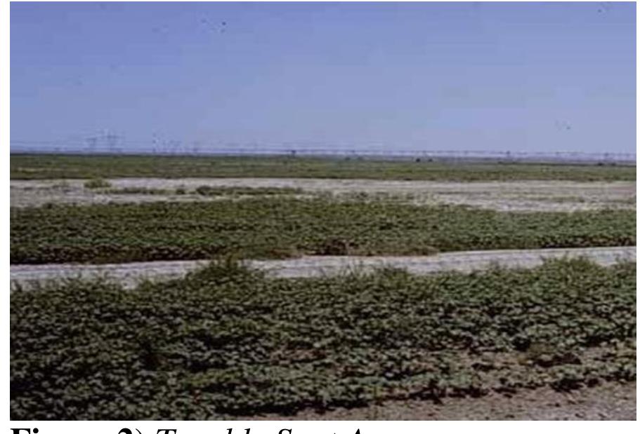 Pdf Soil Sampling And Sample Preparation