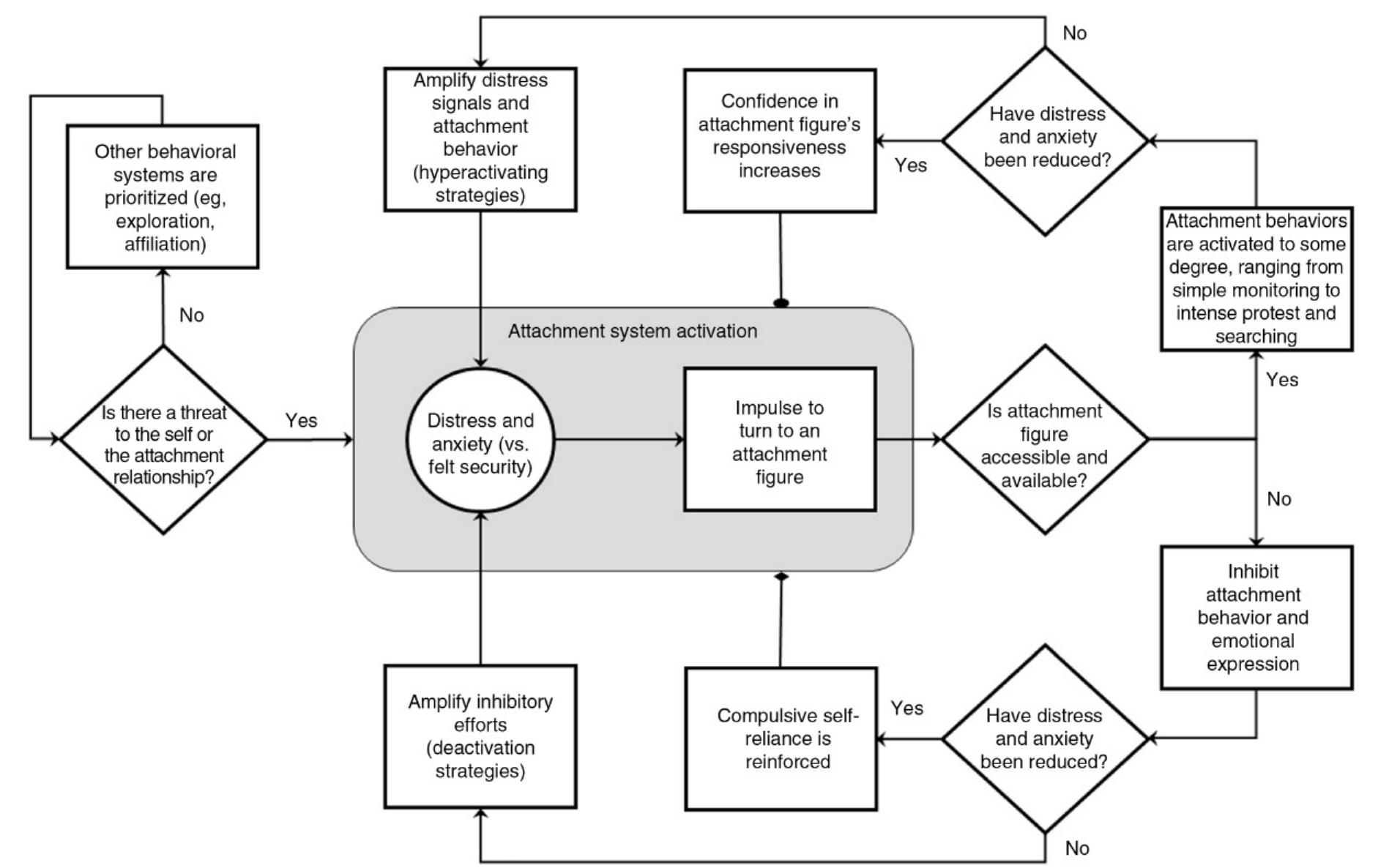 4 a modified control diagram of attachment dynamics.