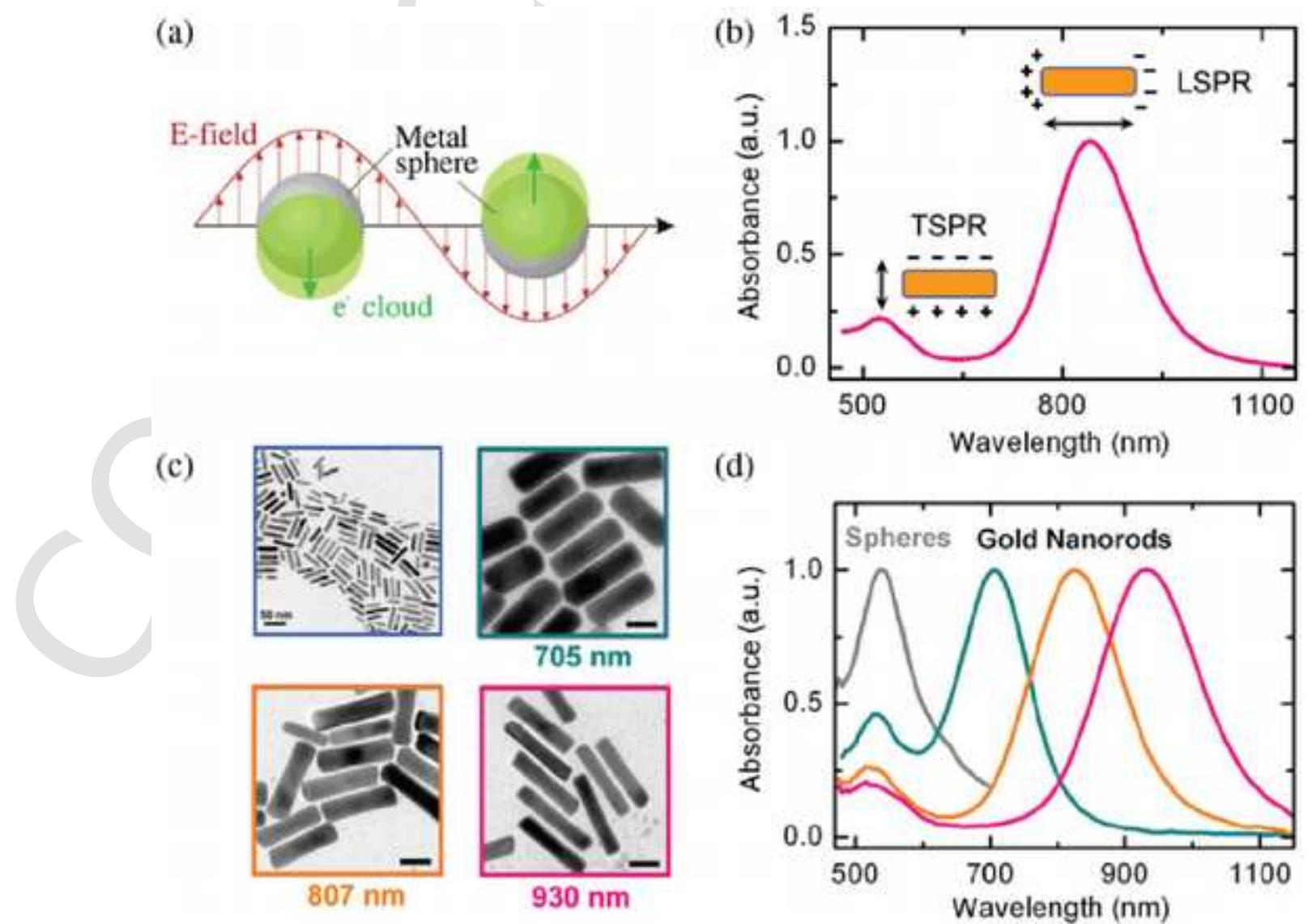 Occurrence of plasmon resonances for different shapes of