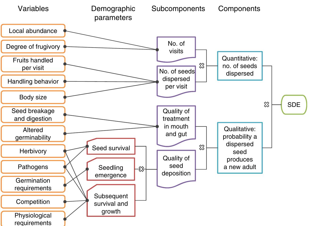 A hierarchical flow chart representing the determinants of