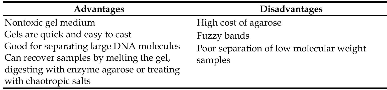 Advantages and disadvantages of agarose gel electrophoresis.
