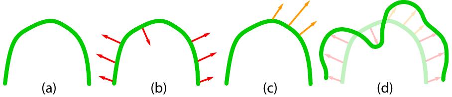 Reduced deformation models: (a) reference shape p, (b)