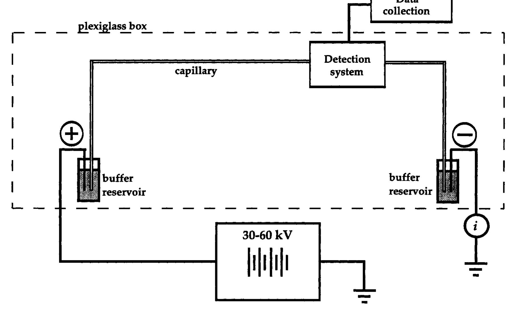 Schematic representation of a capillary electrophoresis