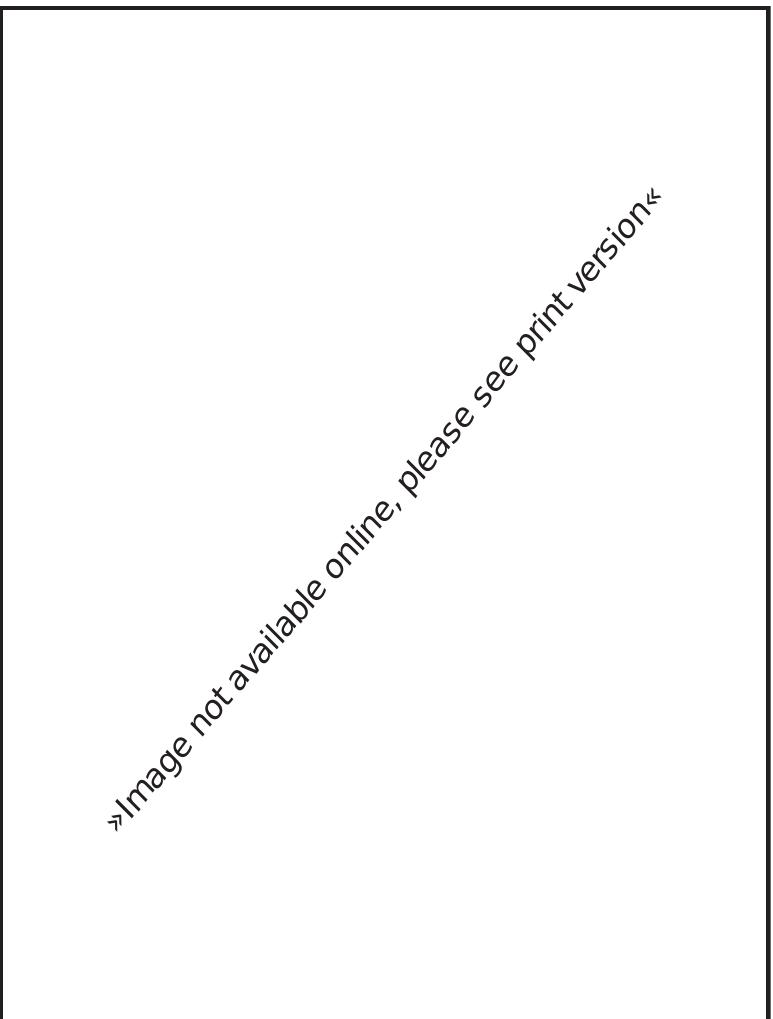 René magritte, the window (la fenétre), 1925, oil on canvas,