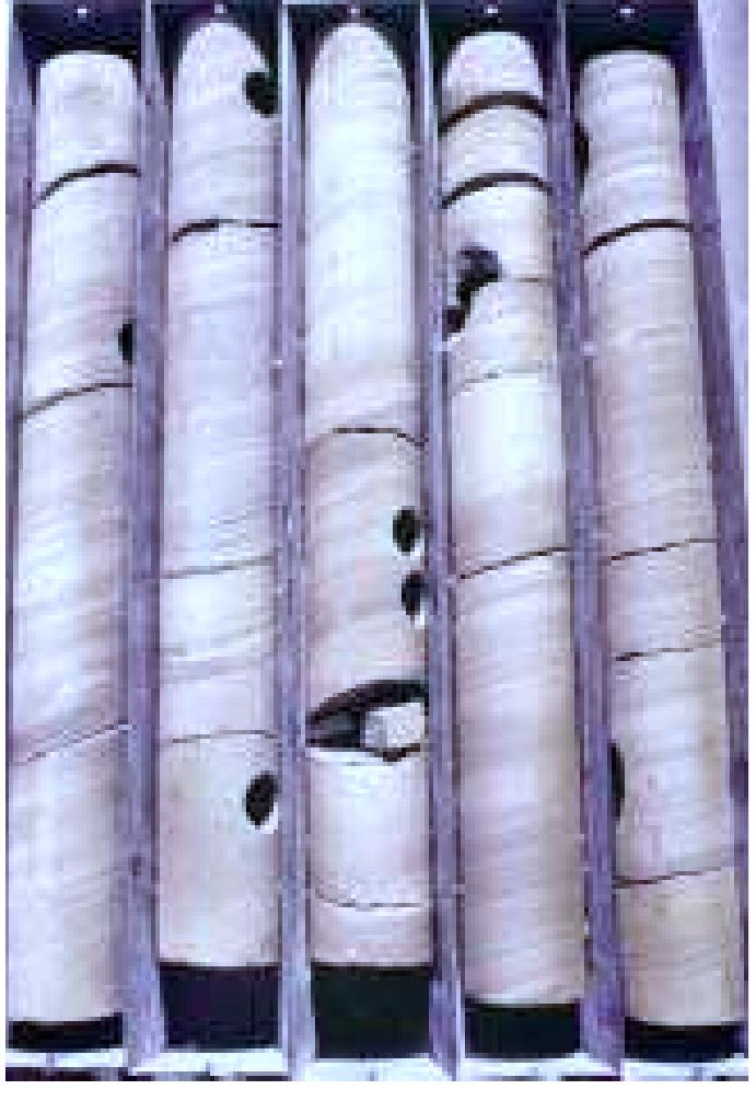 Figure 24 - Sequence stratigraphy of the Unayzah reservoir