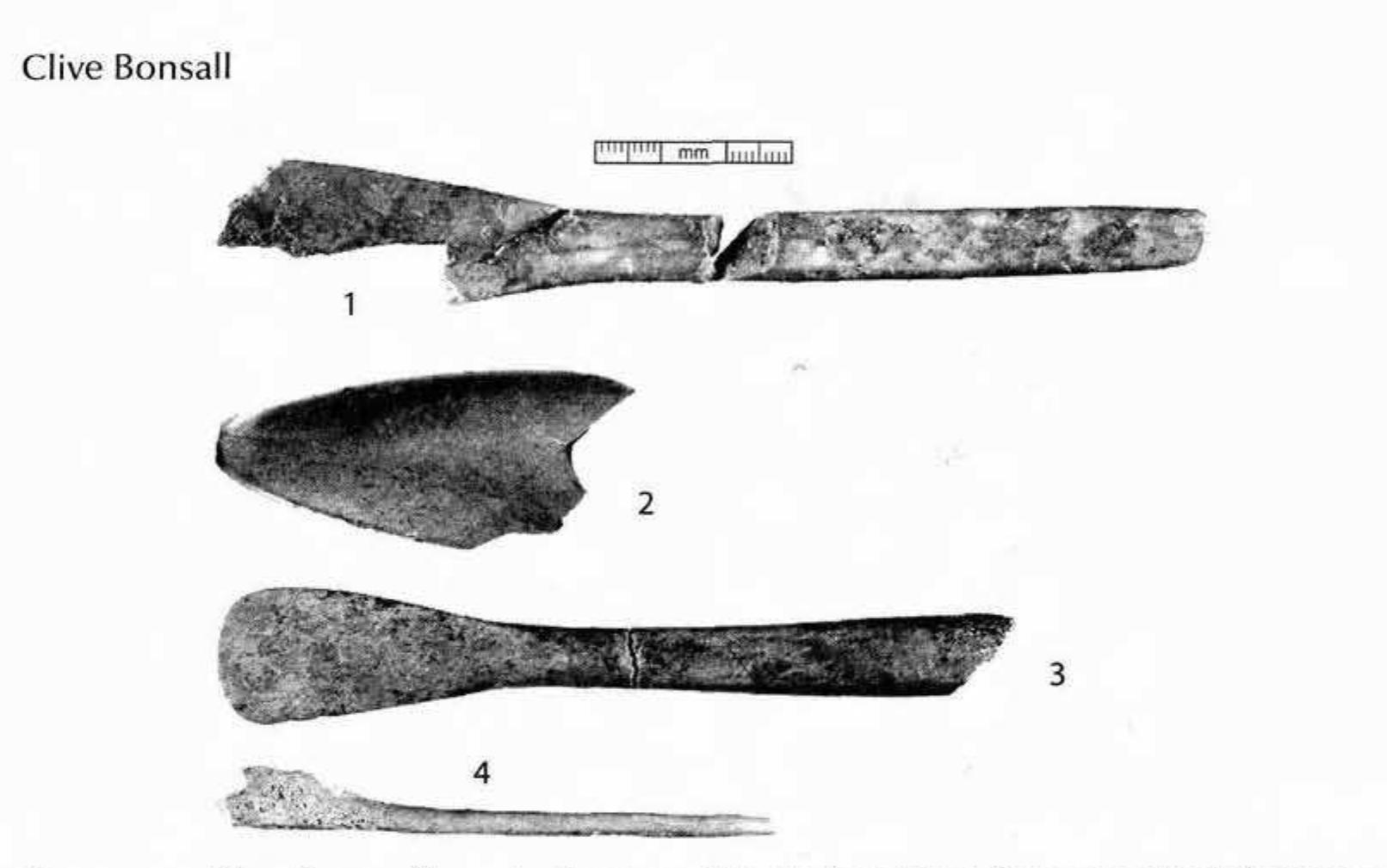Figure 12 - The Mesolithic of the Iron Gates [2008]