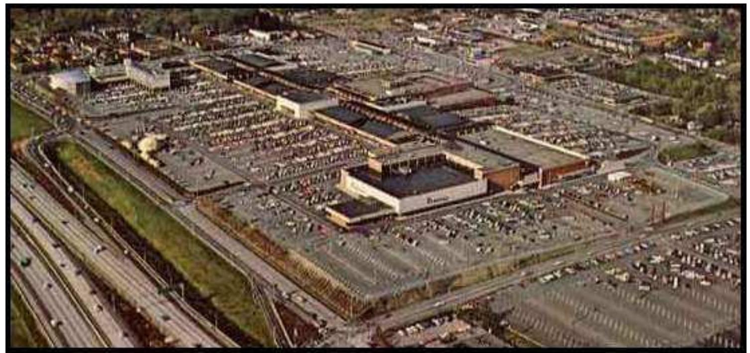 (PDF) EVOLUTION OF SHOPPING MALLS: RECENT TRENDS AND THE QUESTION OF ...