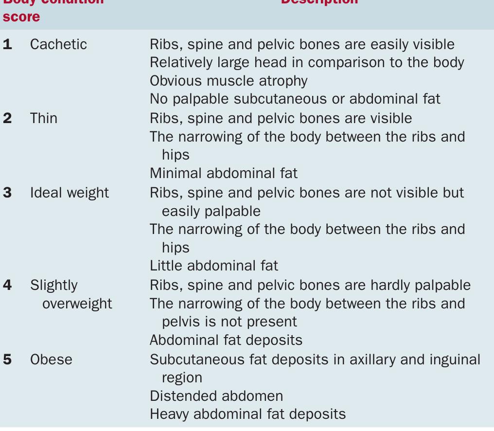 The chart for a guide to degus body condition scoring based