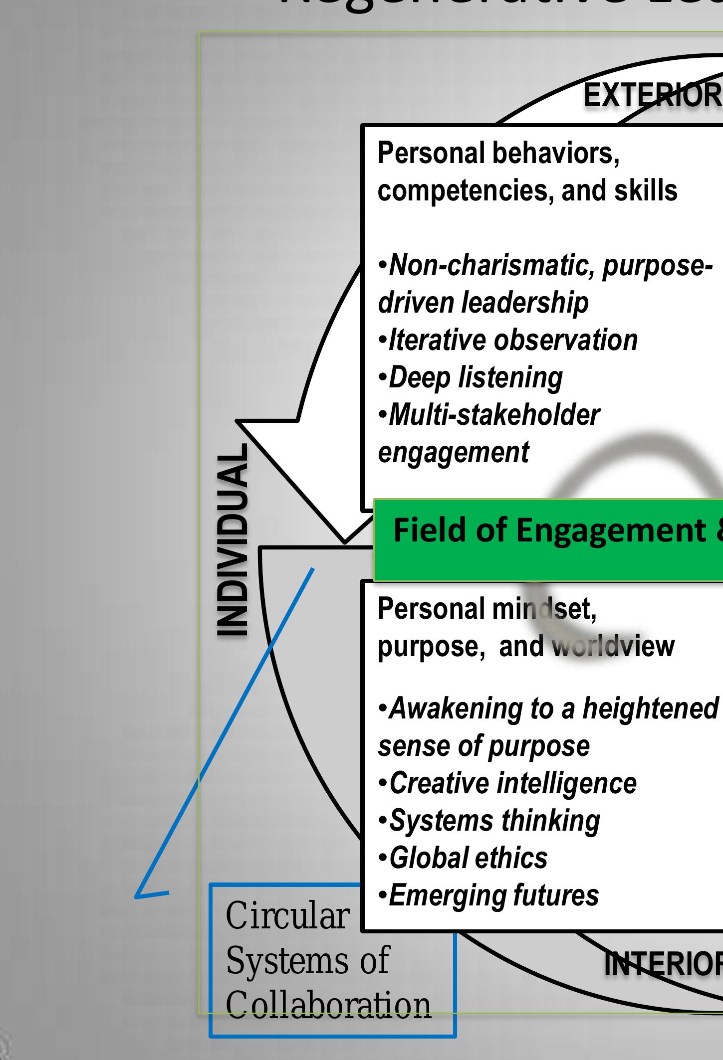 Figure 1 - Regenerative Leadership Framework