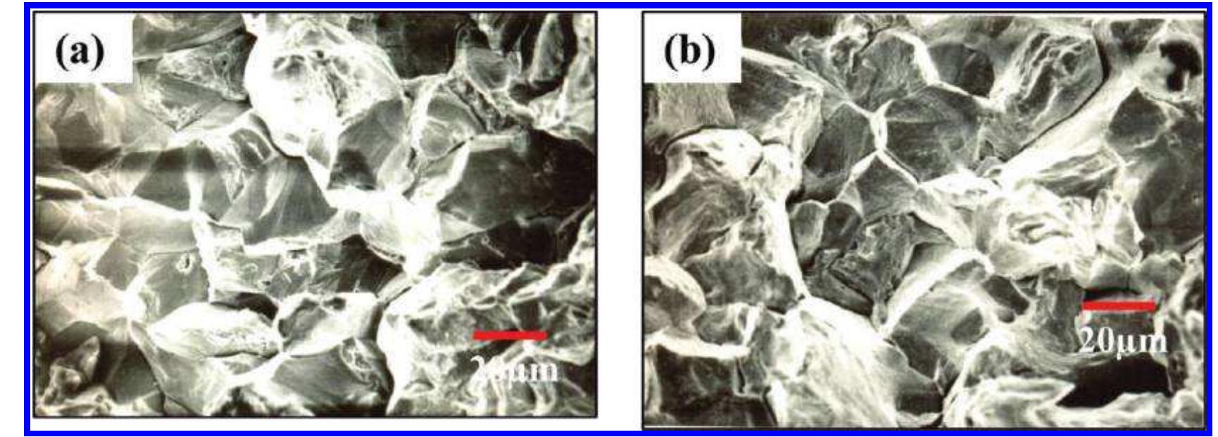 Sem Micrographs Showing Examples Of The Fractures In 01 M