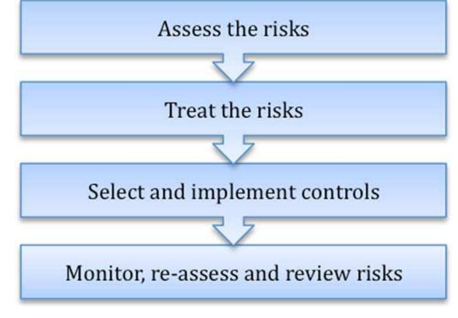 - risk management process.