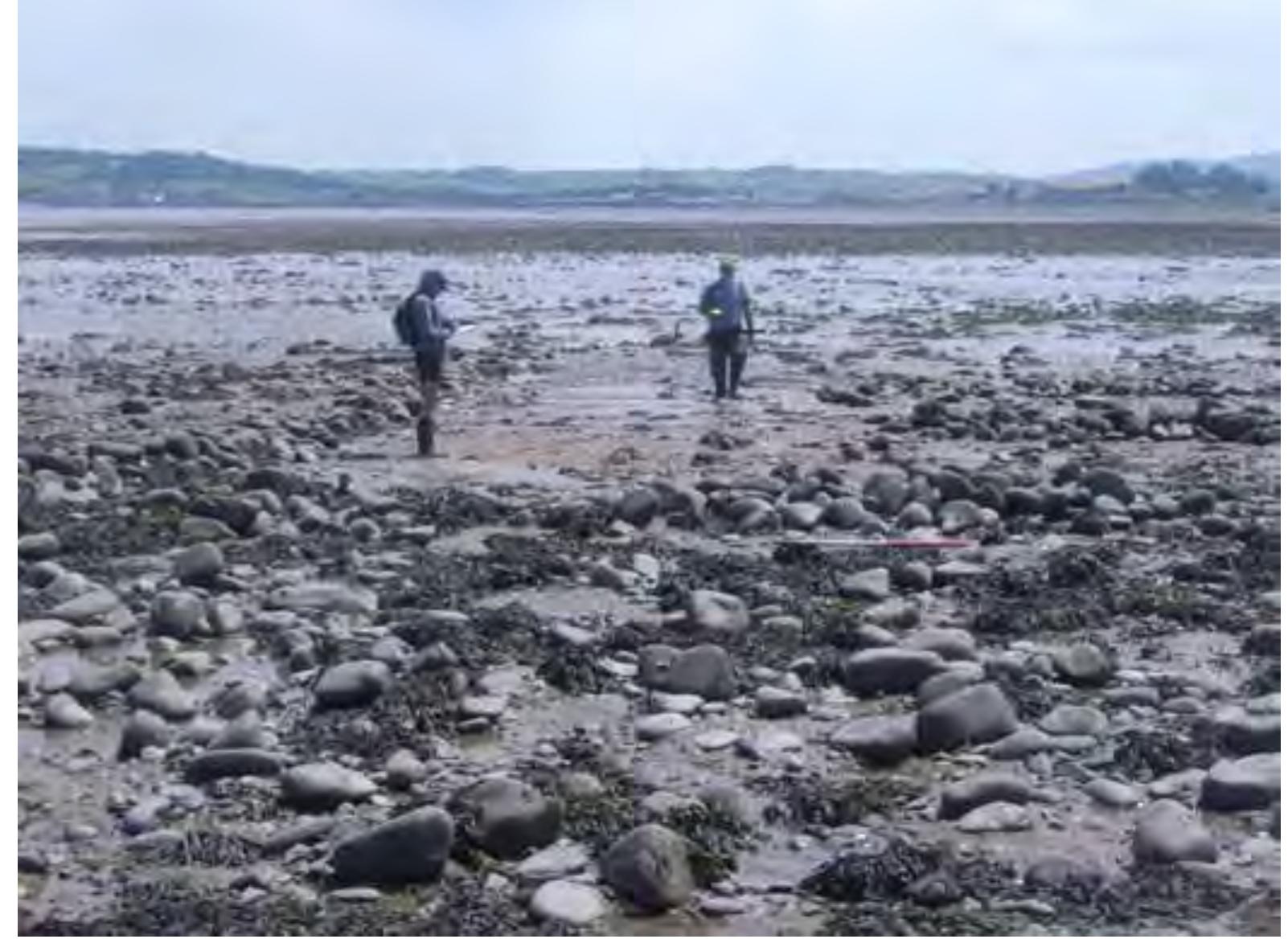 Figure 38 - Catchpole, T. and Chadwick, A.M. 2010. Severn