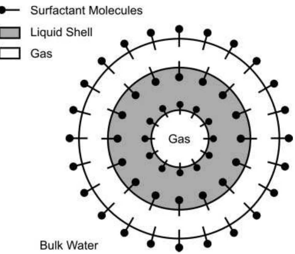 Schematic Diagram Of Structure Of Cgas According To Sebba