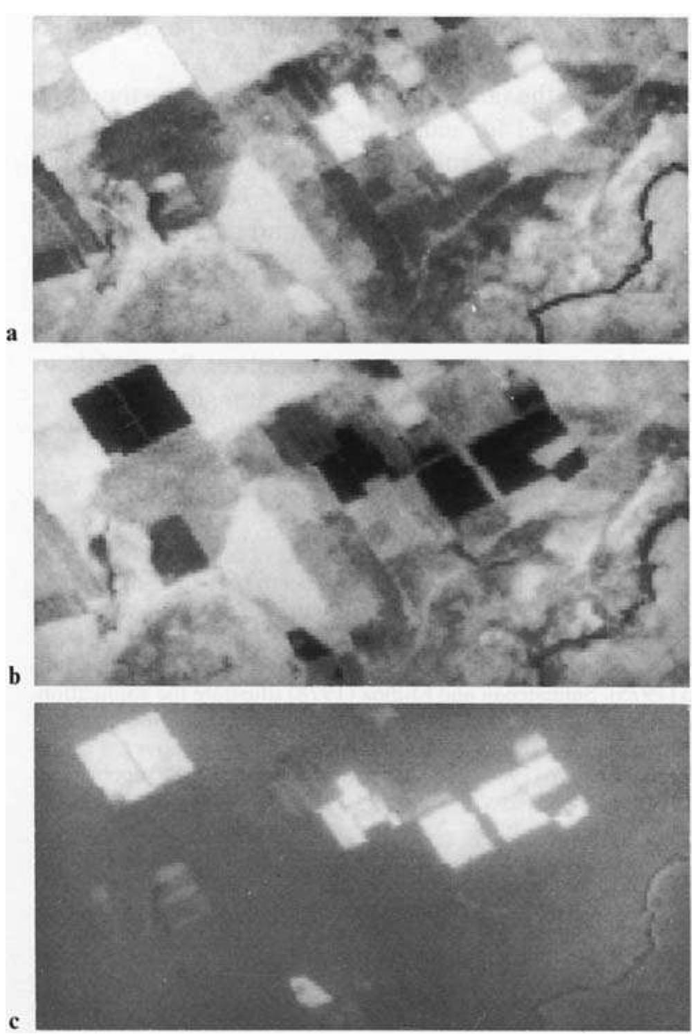 13. landsat multispectral scanner band 7 a and band 5, b