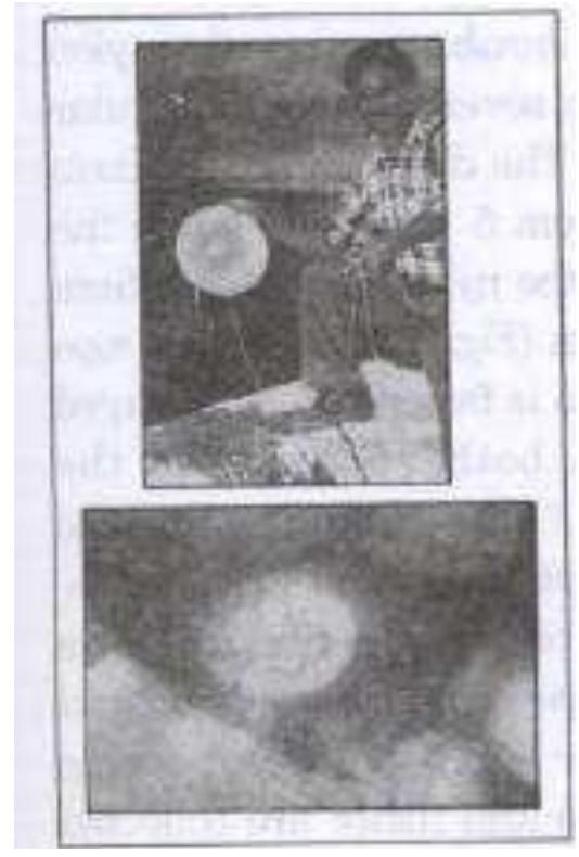 The structure used in the “pot and pan" process and the fish