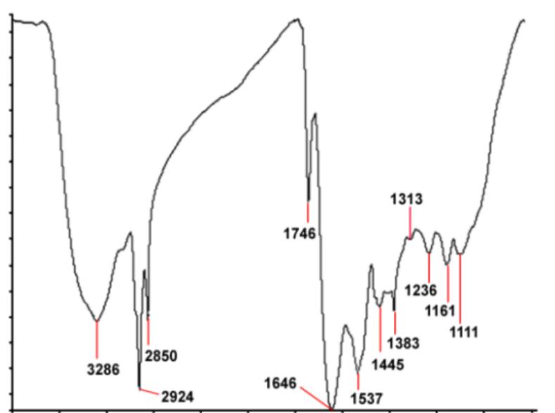 26 ftir spectra of dried, ultracentrifuged, and separated