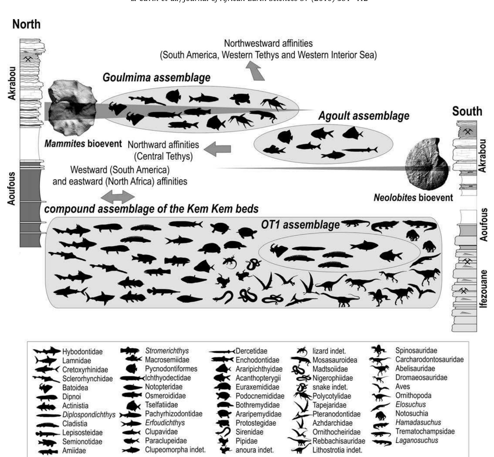 Synthetic chart showing the succession of the