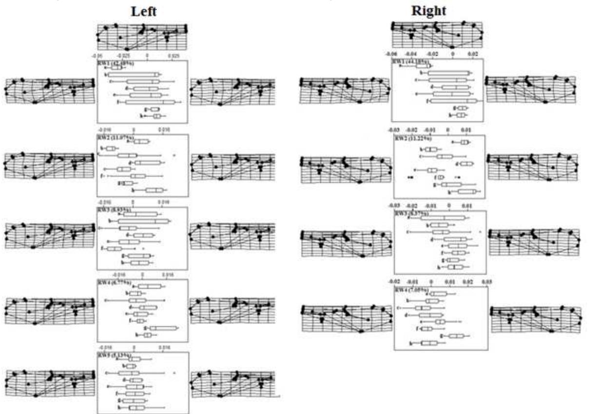 Relative warp box plot showing variations in shape of the