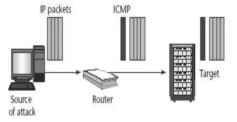Path of a packet to its originating source node. 3.3 logging