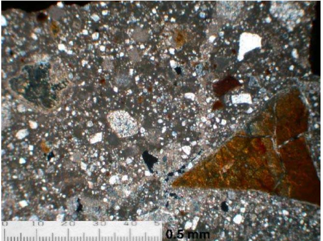 20. la36b. sample with devitrified volcanic glass shard