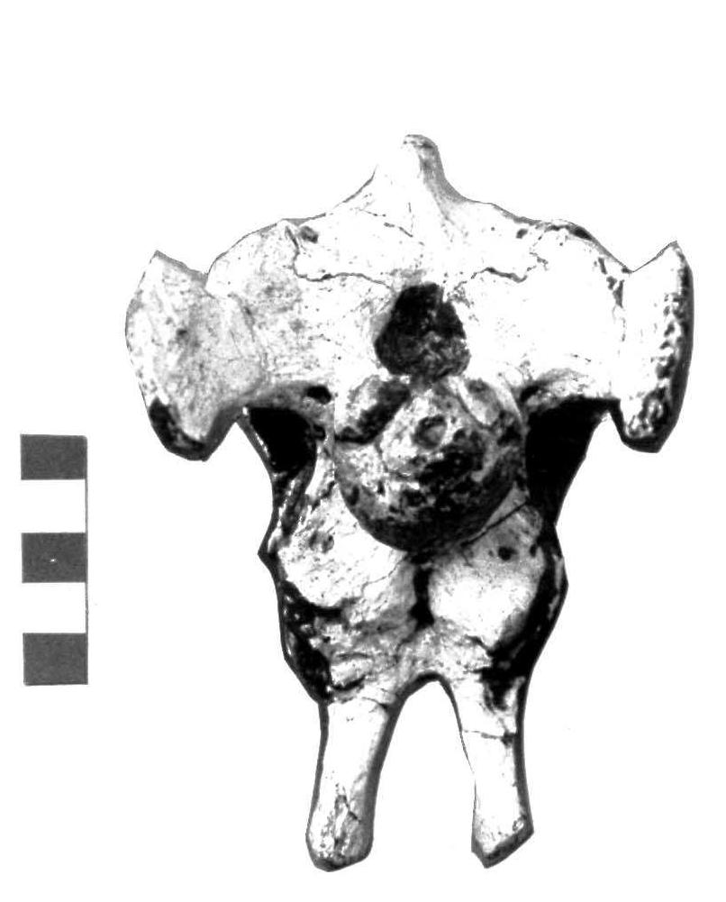Figure 4 - from A review of the sauropod dinosaurs of