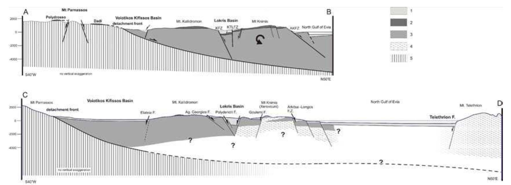 Interpretative cross-sections through the lokris and