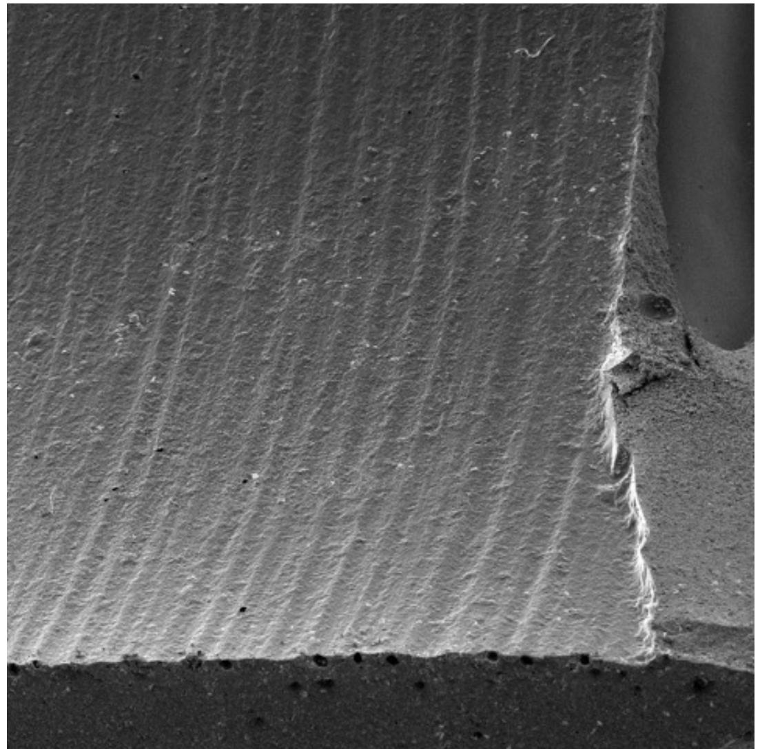 Scanning electron microscope image of a ring-core drilled