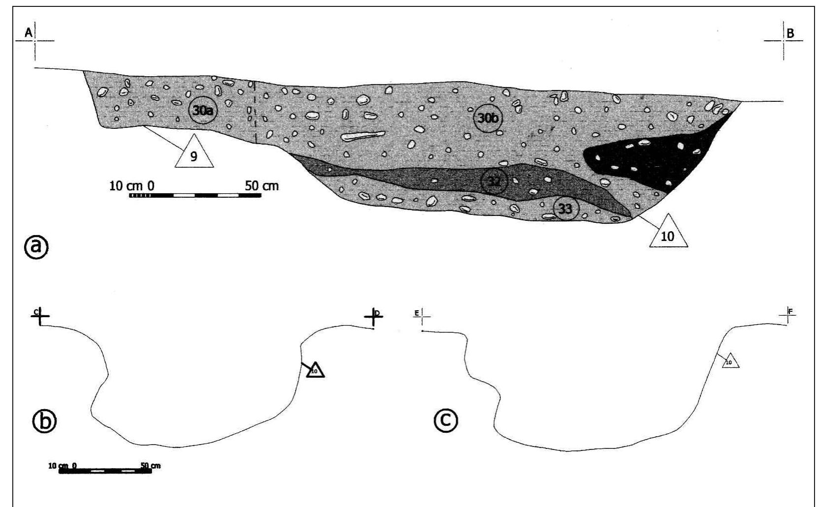 A. north-east-facing section through trough c10 and pit c9;