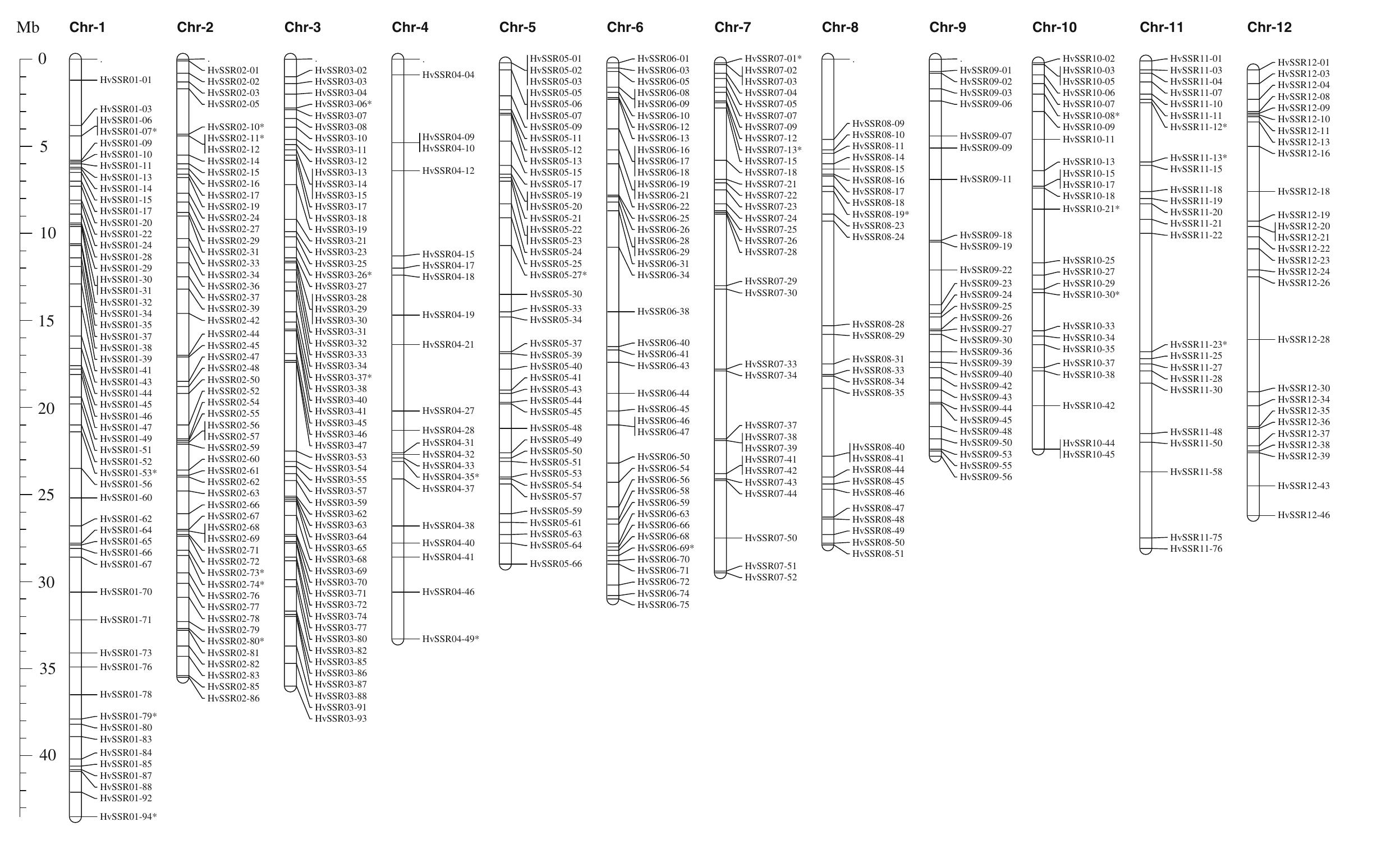 Physical Map Of The 12 Rice Chromosomes Showing Location Of